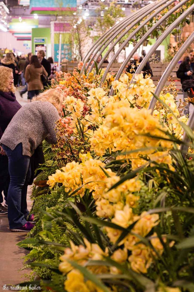 A Peak at the 2017 Philadelphia Flower Show by The Redhead Baker
