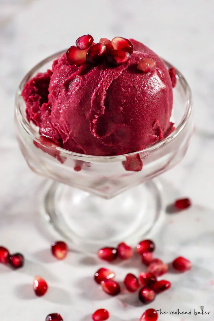 Pomegranate Sorbet — The Redhead Baker